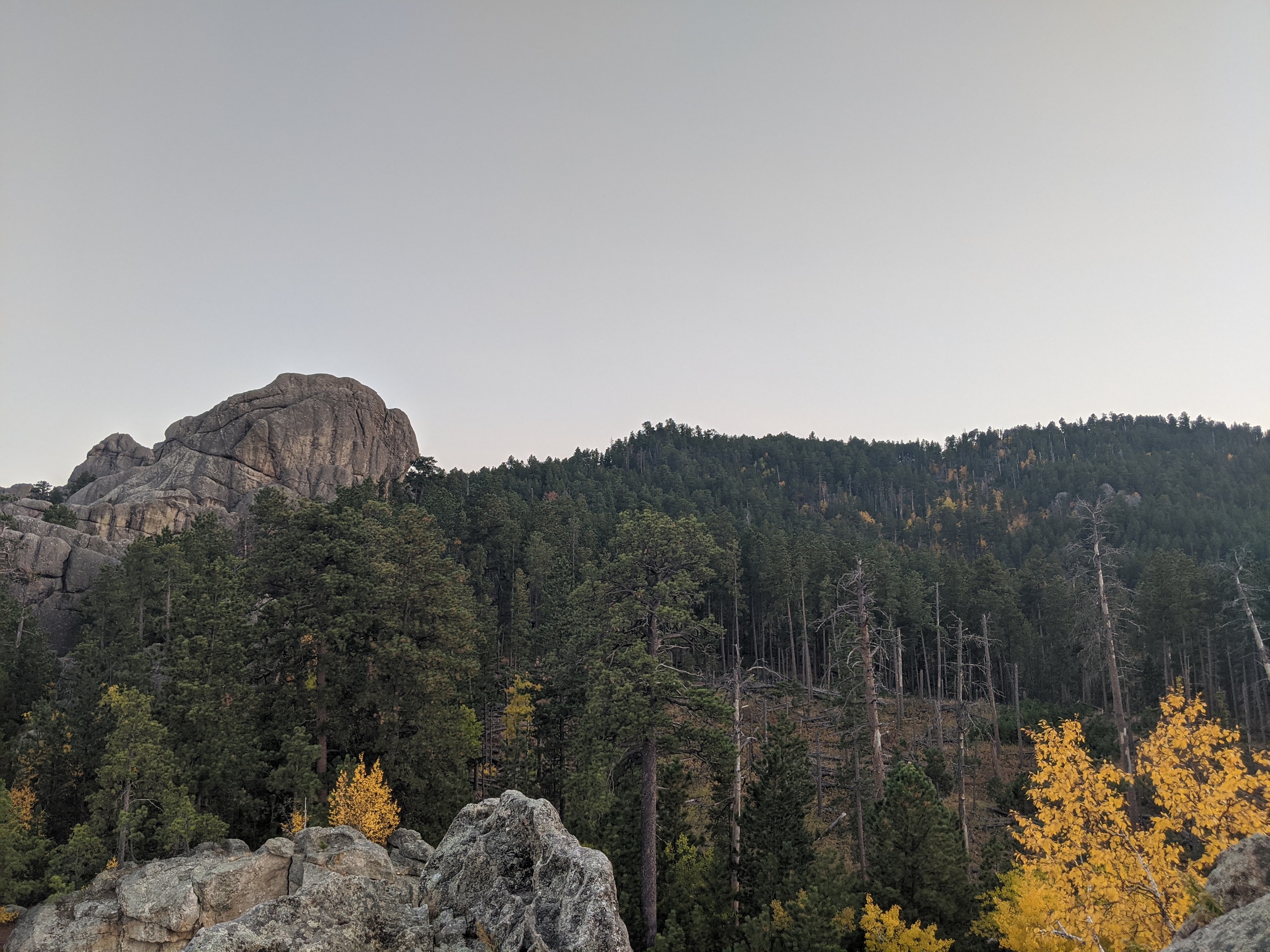 American Road Trip Planning: 11 Tips for the Best Cross-Country Drive